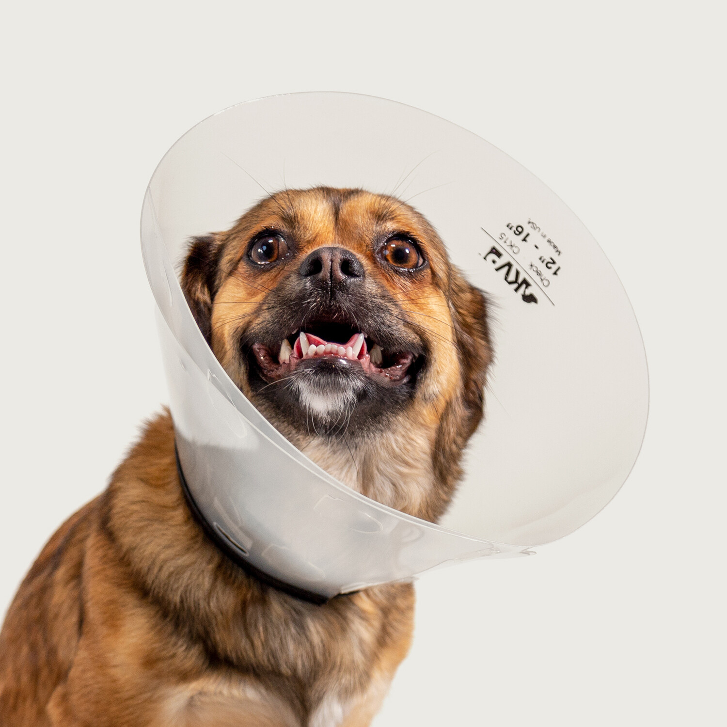 Check™ Collar - For Vet